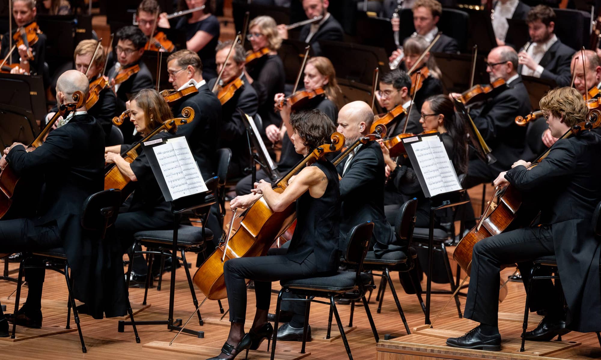 Our Council — Sydney Symphony Orchestra