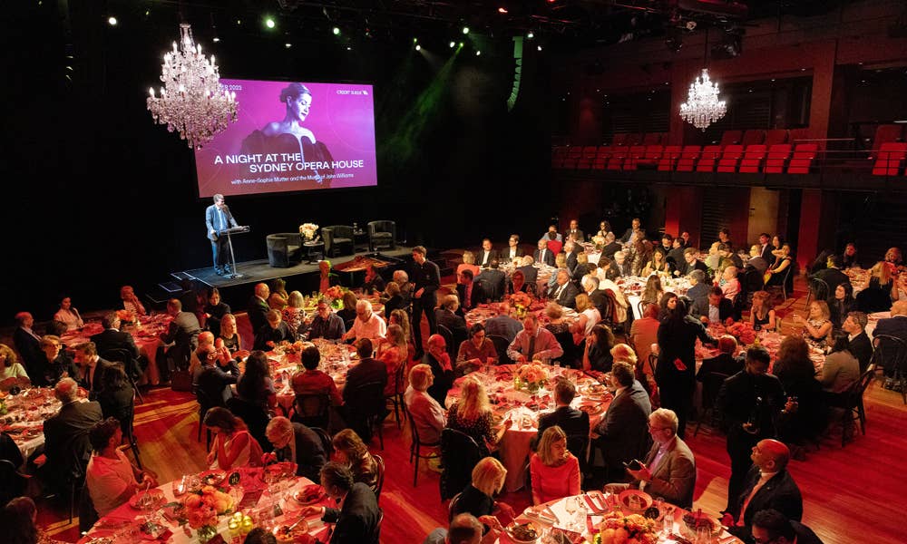 Corporate Programs & Packages — Sydney Symphony Orchestra